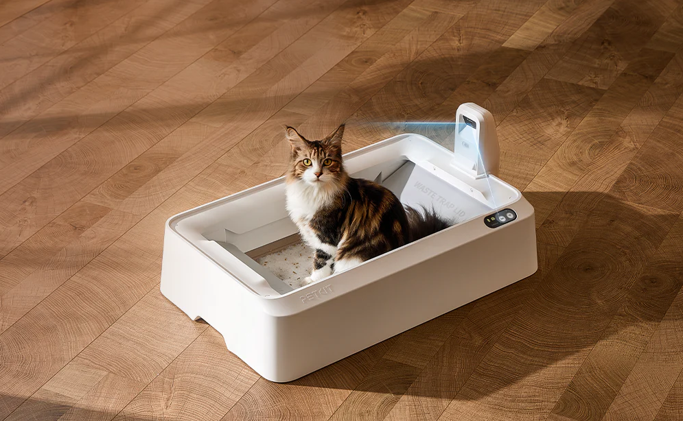 The First Open-Top AI Litter Box That Monitors Feline Health in Real T ...